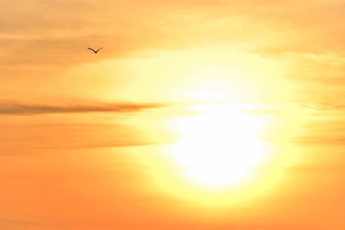 10 Top Tips on Photography - HubPages