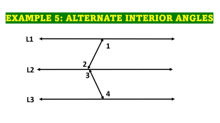 Alternate Interior Angles (Theorem and Examples) - HubPages