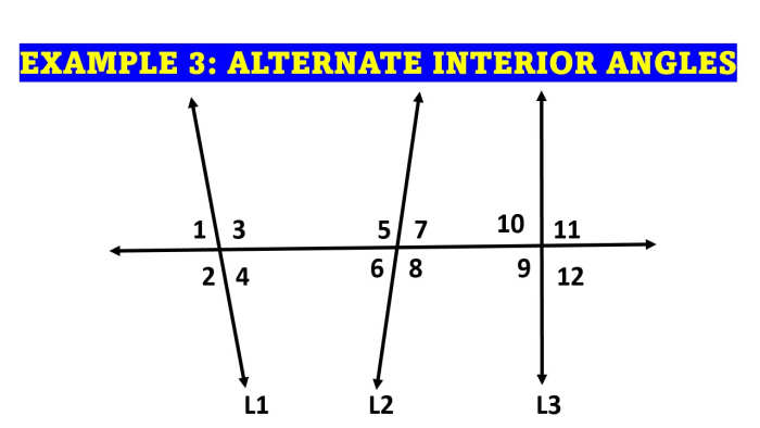 Alternate Interior Angles (Theorem and Examples) - HubPages