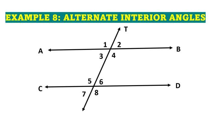 Alternate Interior Angles (Theorem and Examples) - HubPages