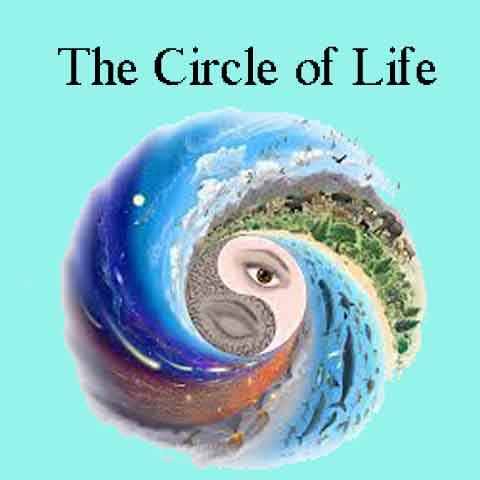 Our Life Is a Complete Circle - HubPages