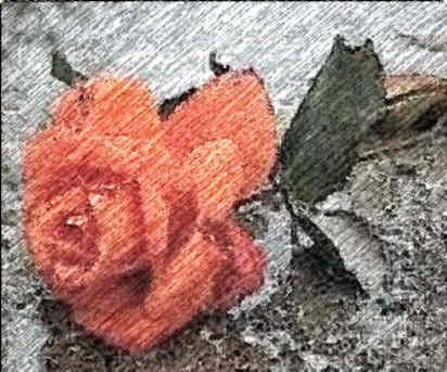 The Trampled Roses - HubPages