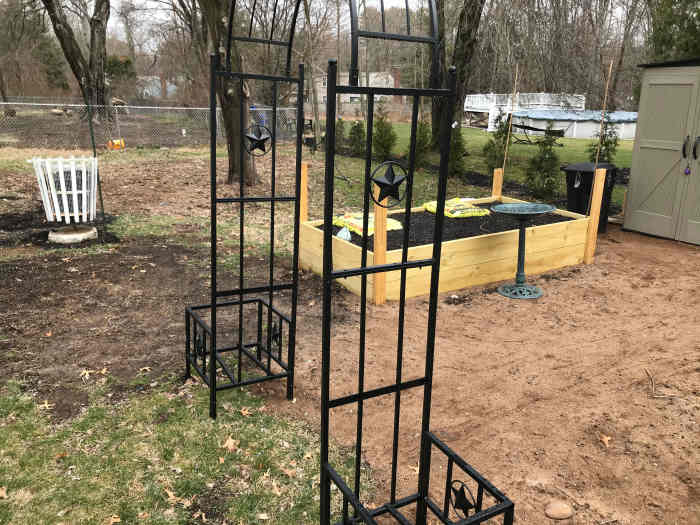 Vertical Squash Gardening: A Beginner's Guide - HubPages