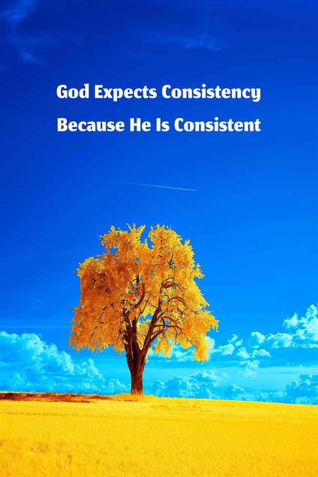 What the Bible Says About Consistency - HubPages