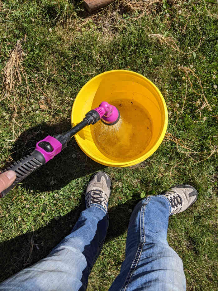 Blueberry Patch - Growing Wider - HubPages