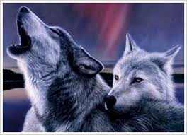 The Two Wolves That Fight Inside You - Cherokee Mythology - HubPages