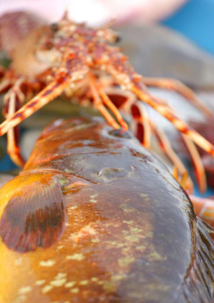 Healthy Foods: A Cook's Guide to Lean Fishes - HubPages