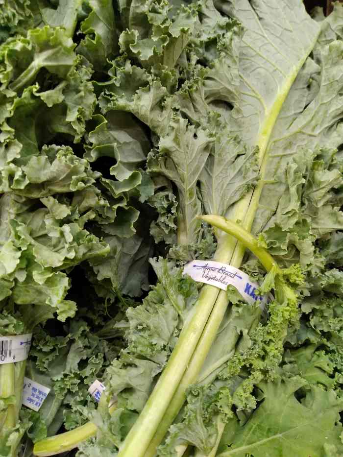 Health Benefits of Cnidium, a Bitter, Acrid, Warming Herb - HubPages