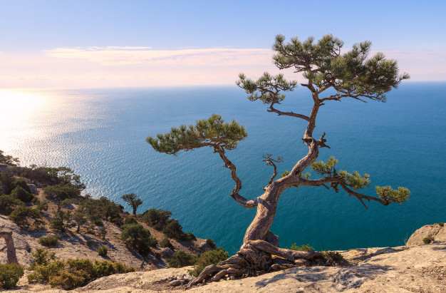 Life Between the Rocks - HubPages