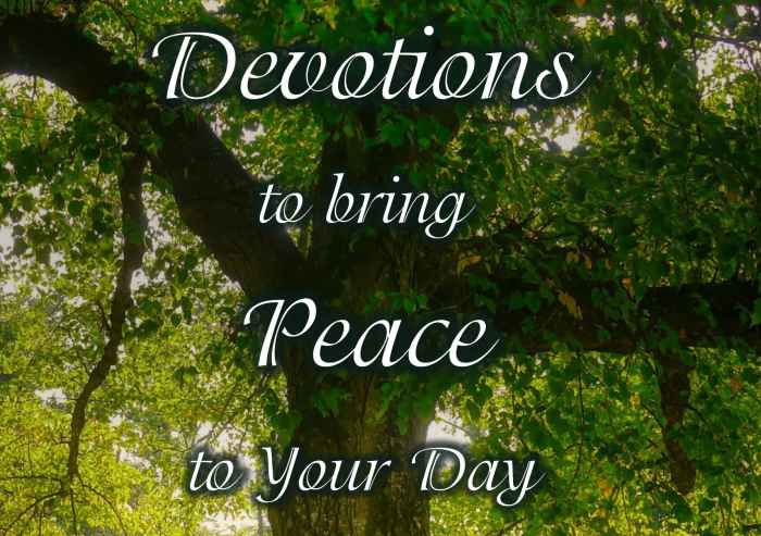 Devotions for Your Daily Walk With Christ - HubPages