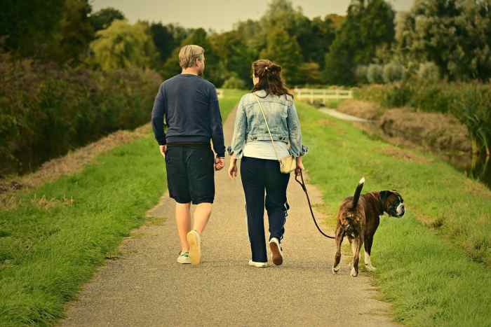 Walk 30 Minutes Every Day - HubPages
