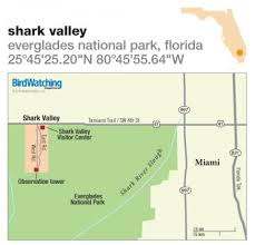 Visiting the Everglades National Park at Shark Valley - HubPages
