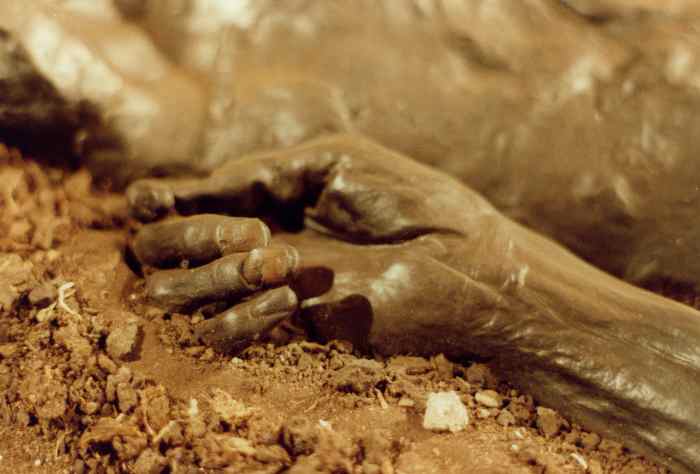 Secrets of the Bog Mummies and the Importance of Bogs - HubPages