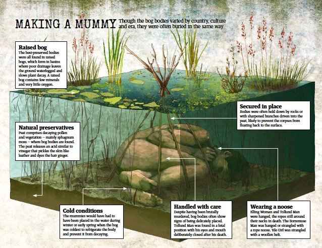Secrets of the Bog Mummies and the Importance of Bogs - HubPages