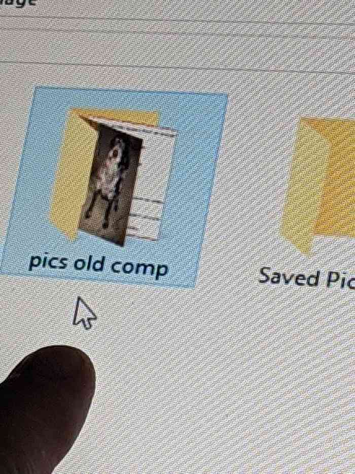 Photos - Transferring from DVD to Hard Drive - Geek Alert - HubPages