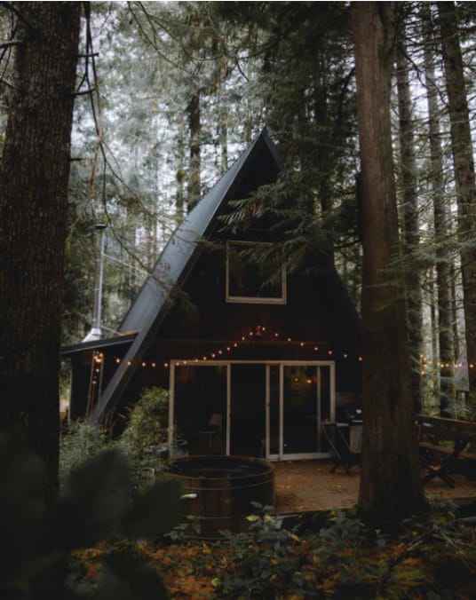 Importance of Forests in Our Life - HubPages