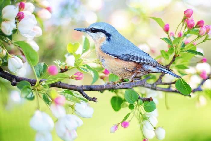 Nature Has Come To Life Again - HubPages