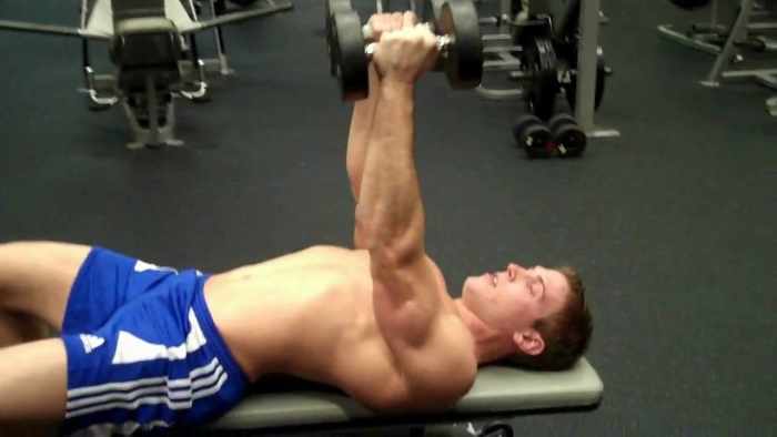 Best Dumbbell Exercises for Pectoral Muscles - HubPages