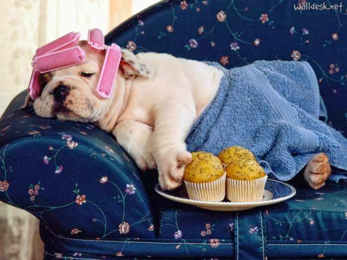 40 Simple Ways to Enjoy Life to the Fullest - HubPages