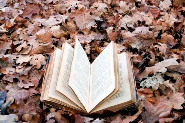 Review: The Book of Love: Poems of Ecstasy and Longing - HubPages