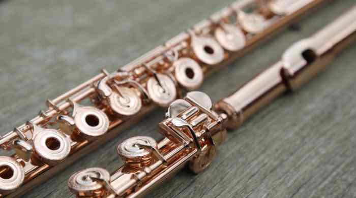 Flute Fingering Chart and How the Flute Works - HubPages
