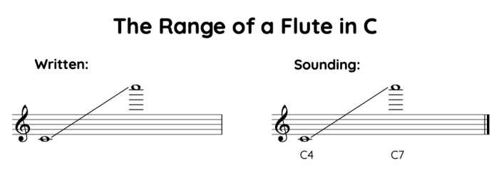 Flute Fingering Chart and How the Flute Works - Spinditty