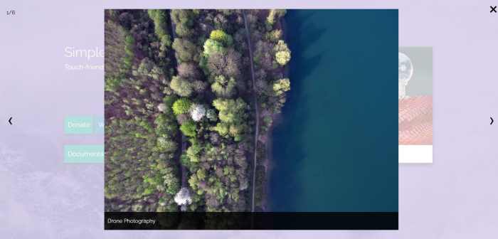 5 Best JavaScript Image Zoom Libraries to Check Out: The Ultimate List ...