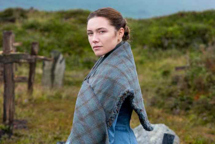 The Wonder: Review and Analysis - HubPages