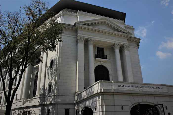Things to Do in Manila: A Visit to the National Museum of the ...