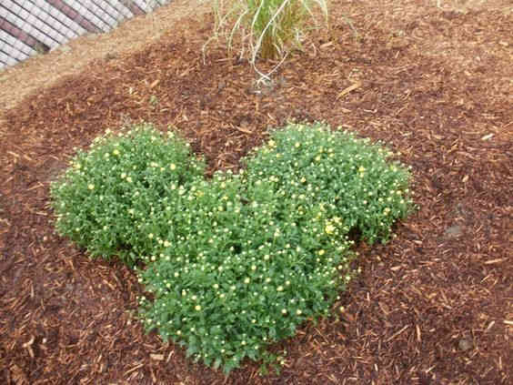 30+ Adorable Disney Themed Garden Ideas for a Whimsical Yard - HubPages