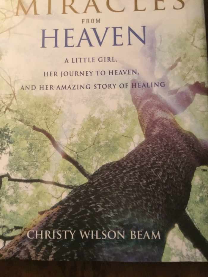 Miracles from Heaven Book Review - HubPages