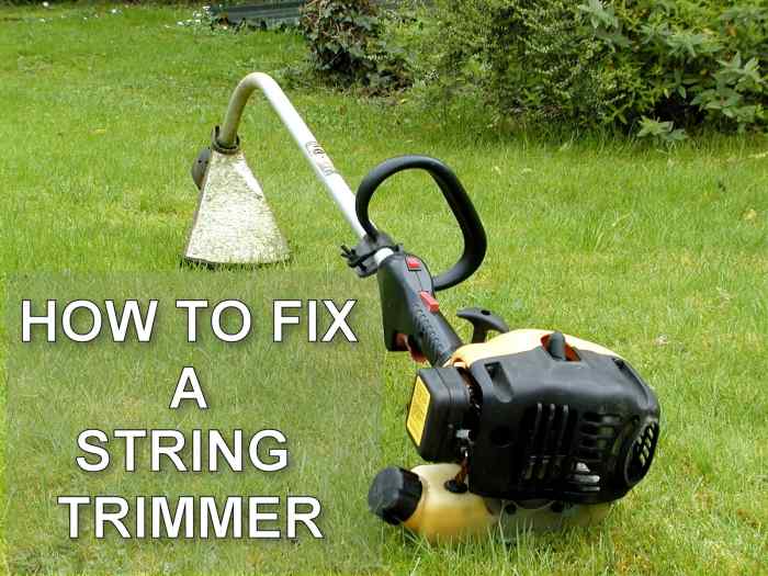 String Trimmer Won't Start (Strimmer): 2-Stroke Engine and Carburetor ...