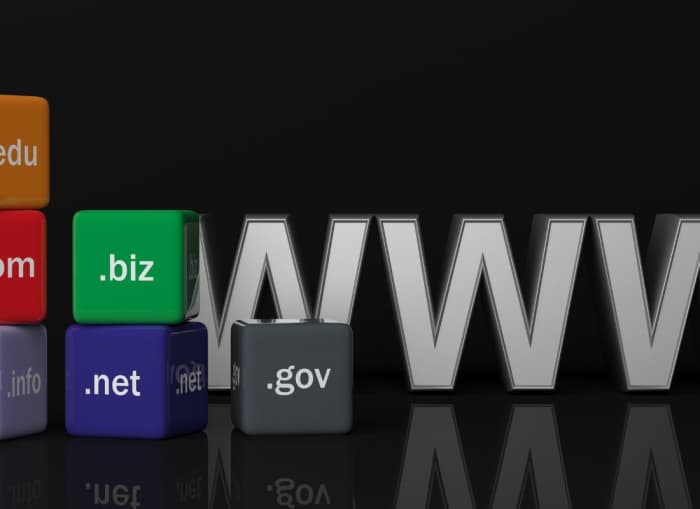 5 Tips for Picking the Perfect Domain Name for Your Blog - HubPages