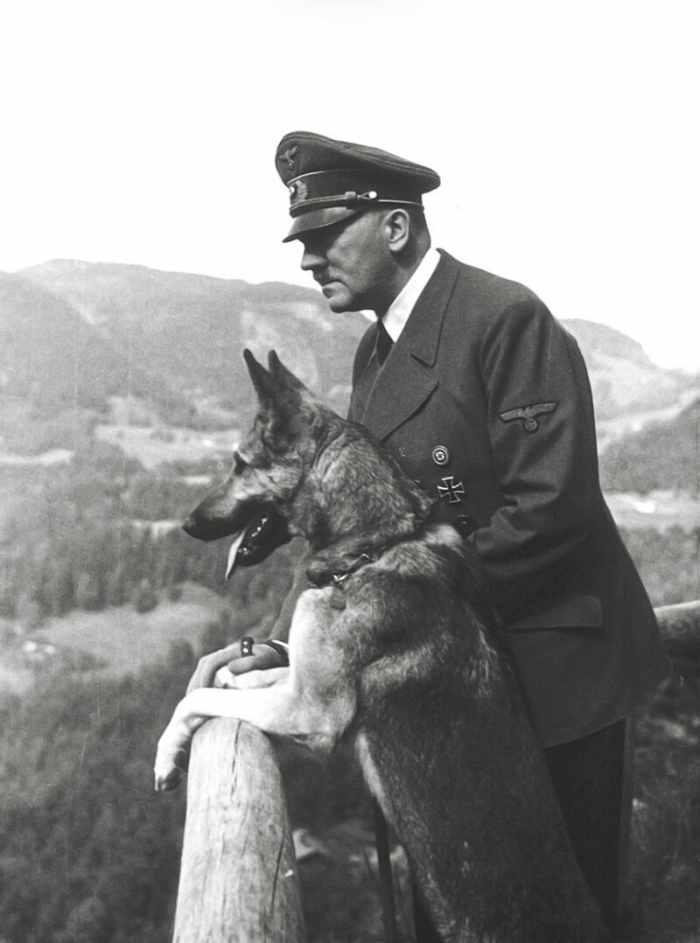 Dog and Hitler - HubPages