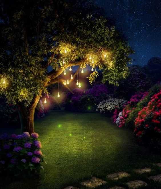 The True Meaning of Beauty - HubPages