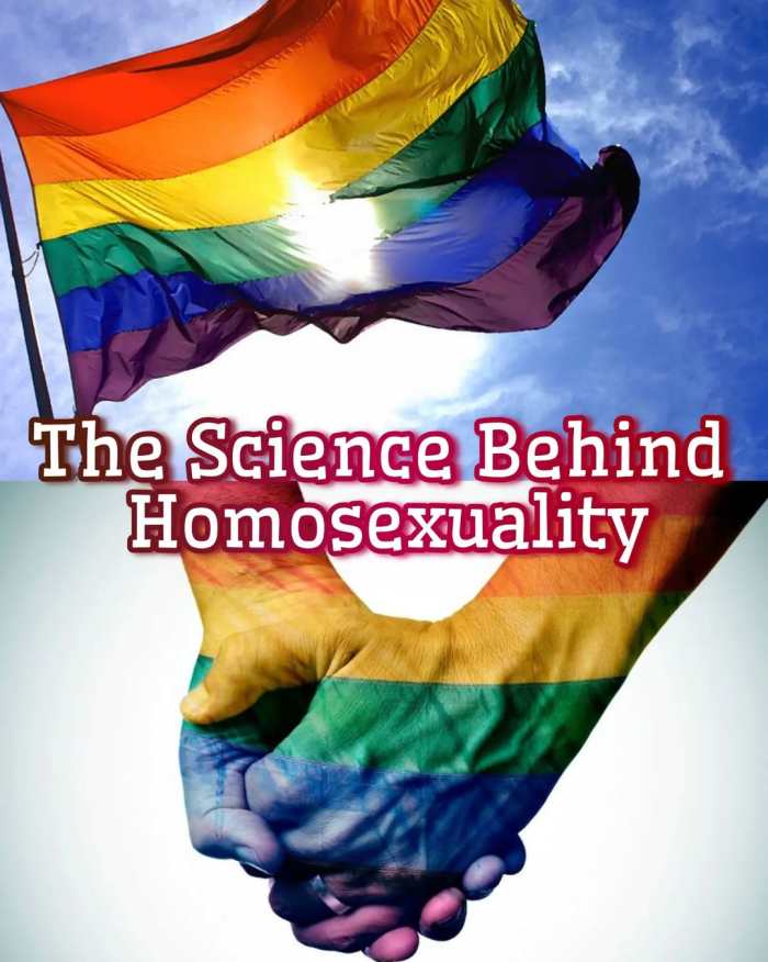 The Science Behind Homosexuality - HubPages