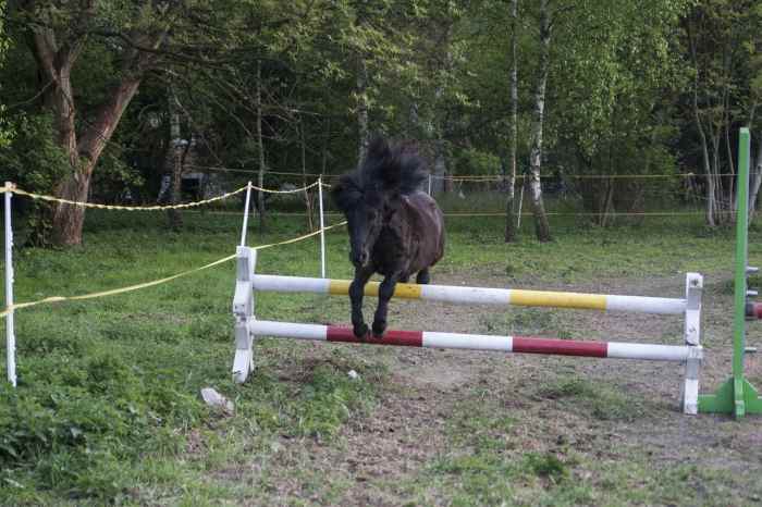 Best Small Farm Business Ideas : How to Start Your Agricultural Venture ...