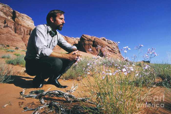 Edward Abbey: Known as the Thoreau of the West, the Maverick and ...