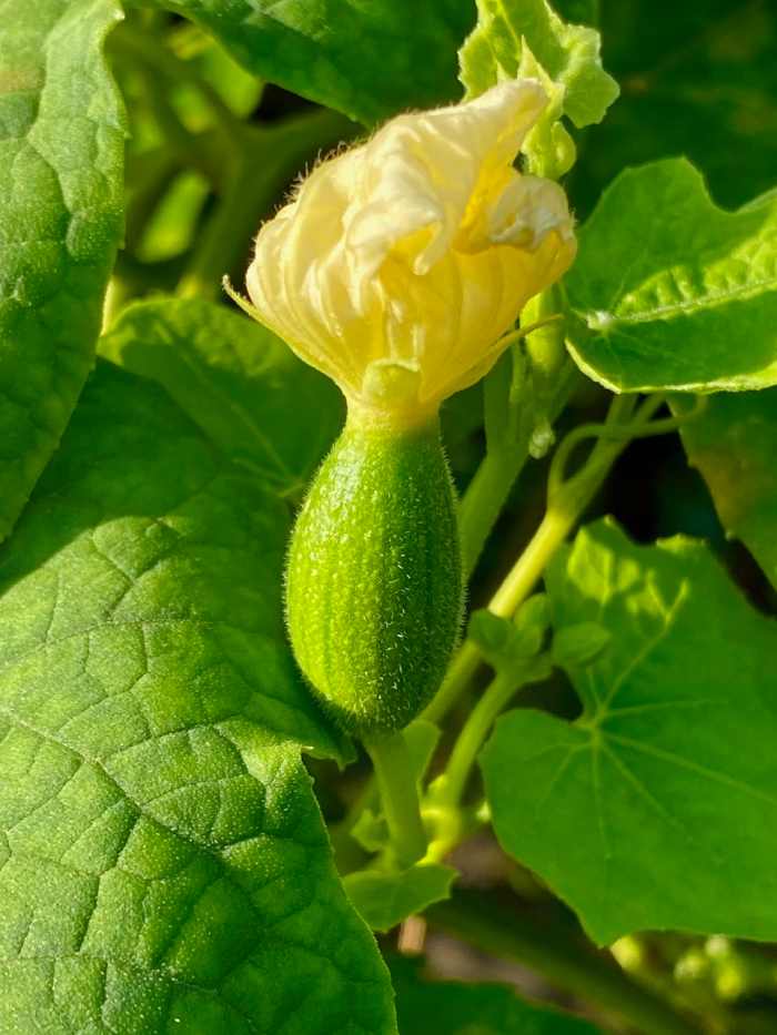 New Year - New Story - HubPages