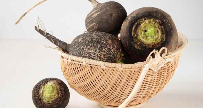 Why Do Black Radishes Turn Black? - HubPages