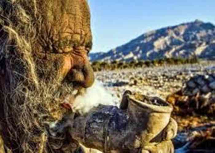 Ten Famous People Whose Hygiene Habits Hit the Headlines - HubPages