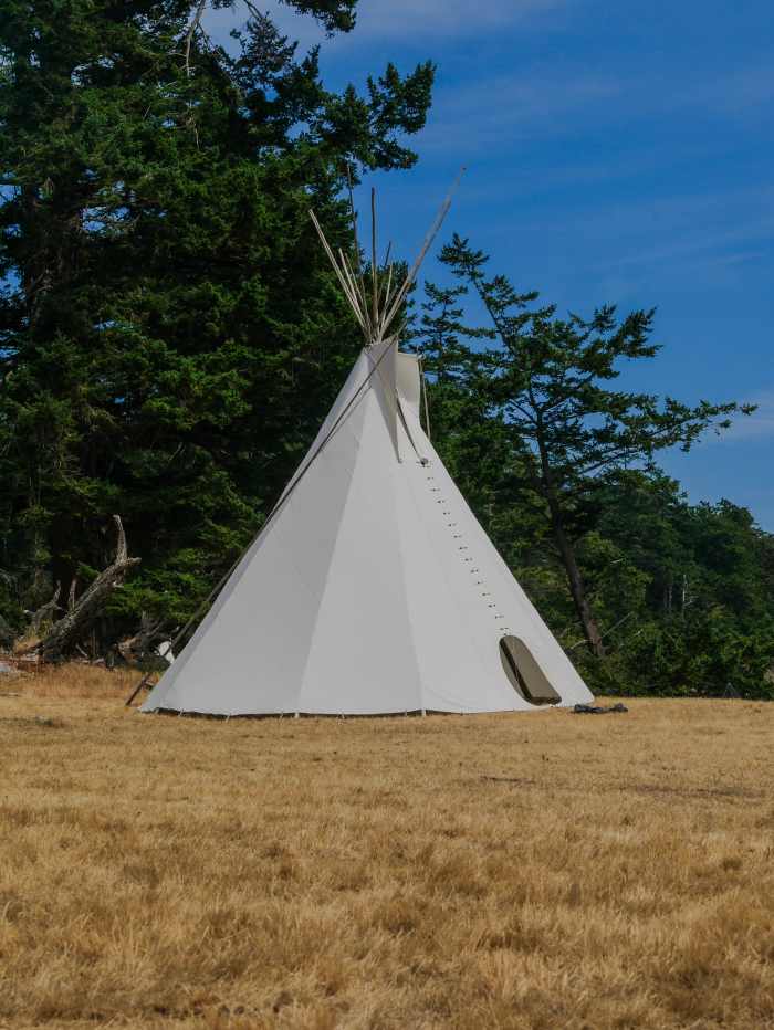5 Amazing Products Made From Animal Skins Throughout History - HubPages