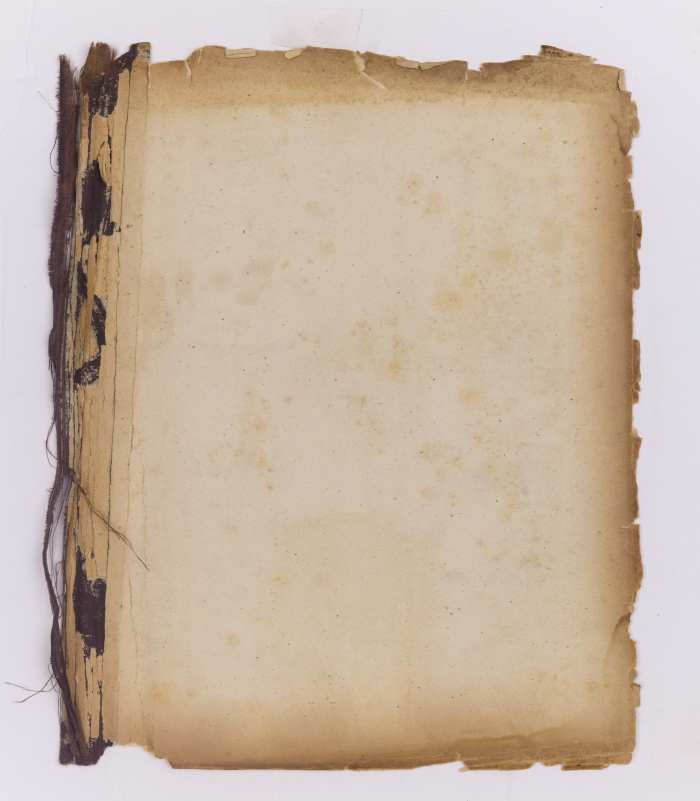 5 Amazing Products Made From Animal Skins Throughout History - HubPages