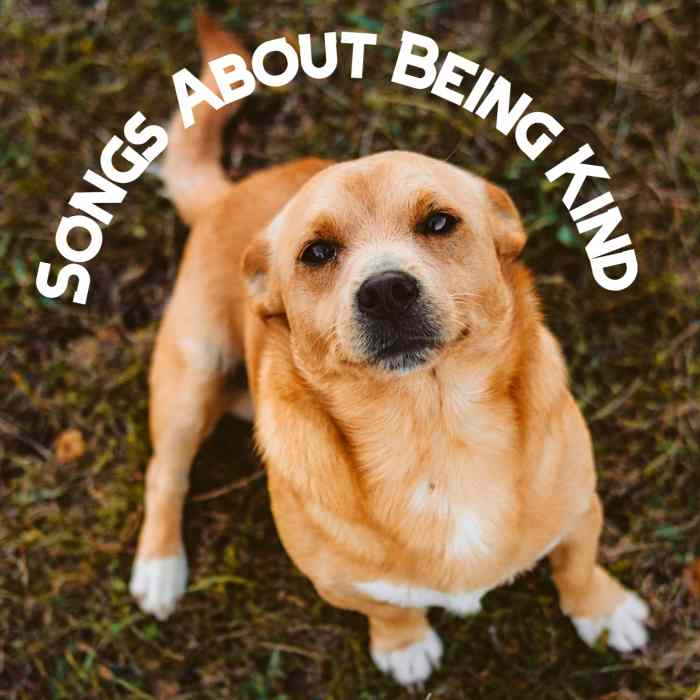 65 Songs About Being Kind - HubPages