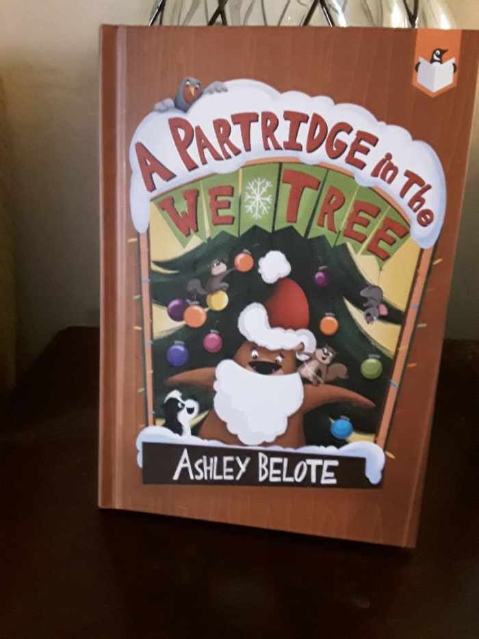 Bear Needs Christmas Spirit to Share the Holidays with Other Creatures ...