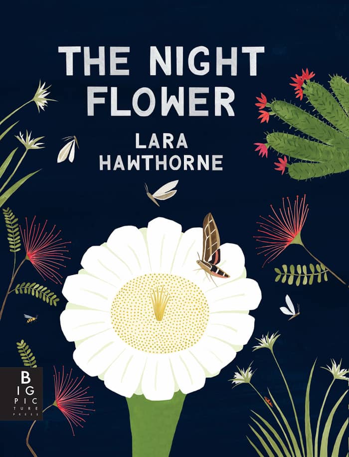 27 Children's Picture Books for May: Flowers, Babies, Teachers Themes ...