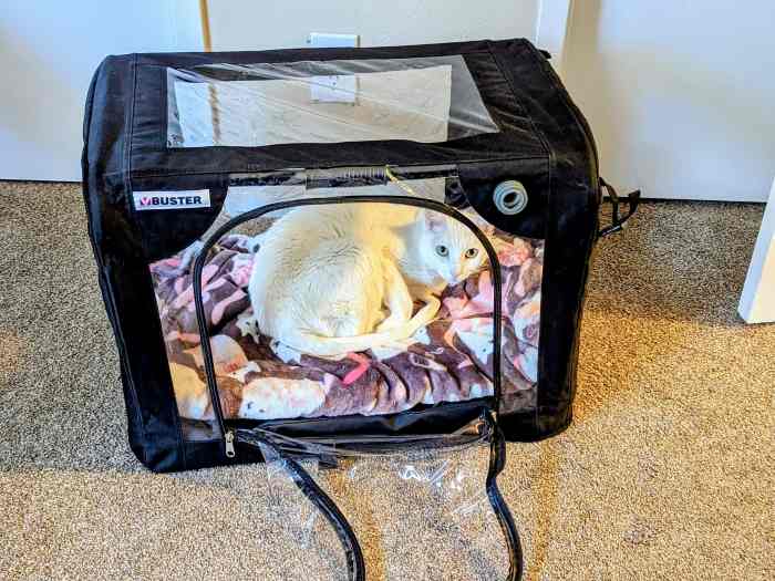 Buster ICU Pet Oxygen Therapy Cage Review - HubPages