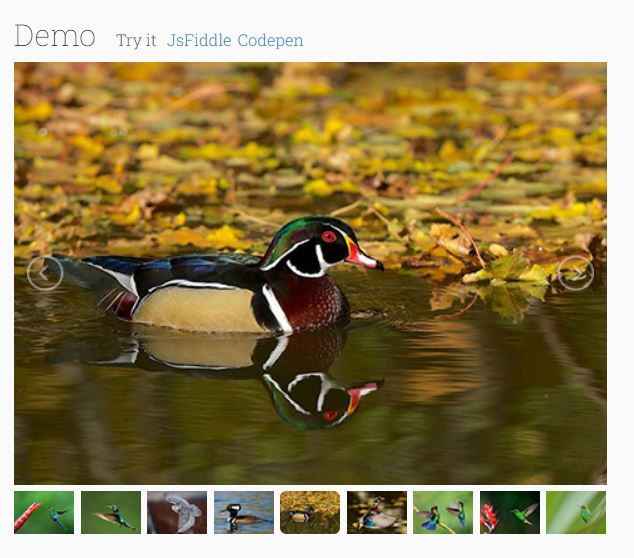 7 Best JavaScript Image Sliders to Check Out: The Ultimate List - HubPages