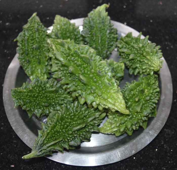 Stuffed Karela (Bitter Gourd): Traditional Indian Curry - Delishably