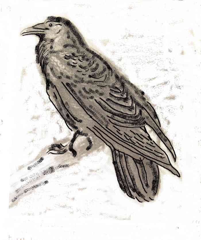 A Young Reader's Guide to the Study of Edgar Allan Poe's the Raven ...